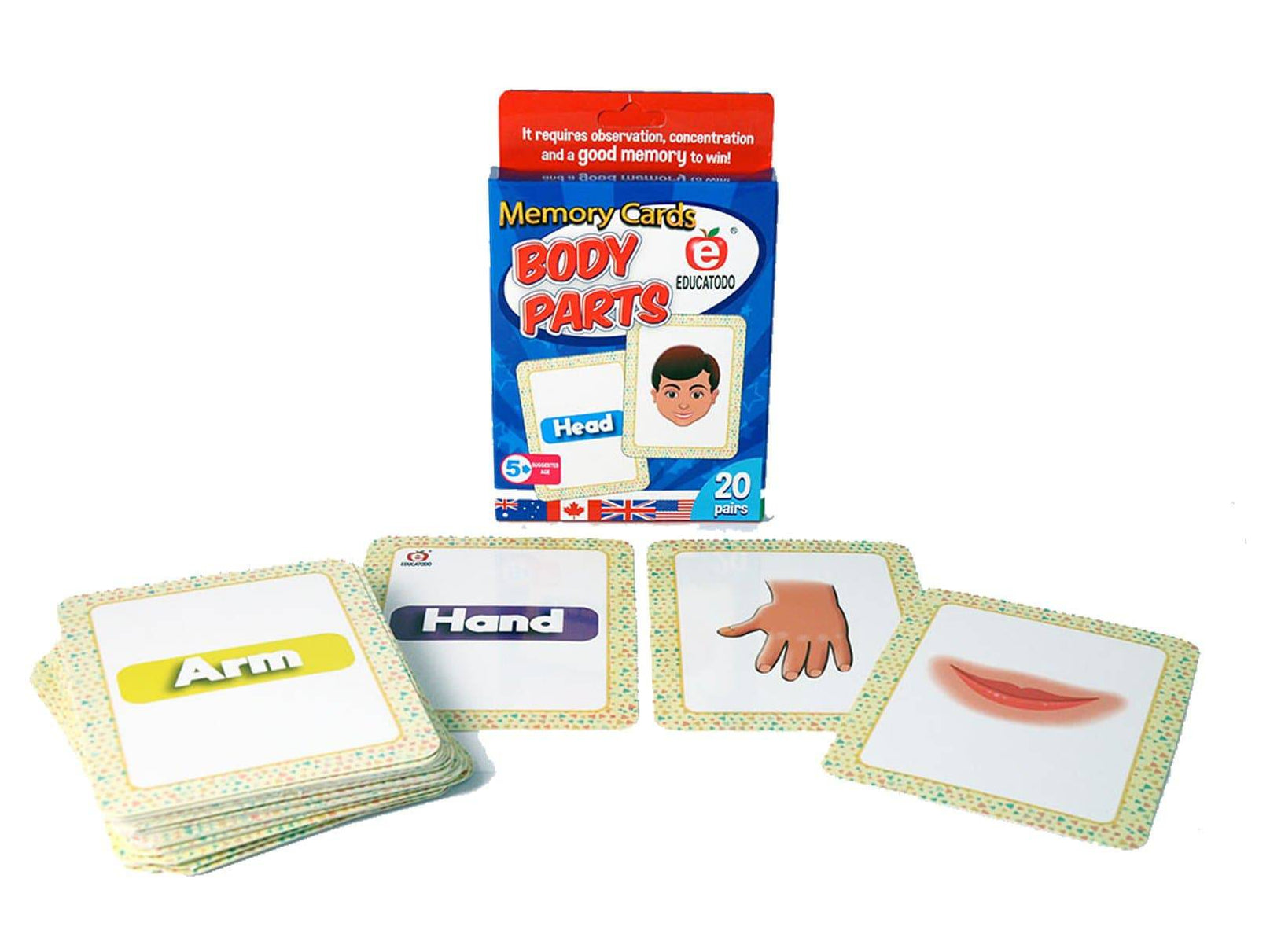 Memory Cards Body Parts — Educatodo