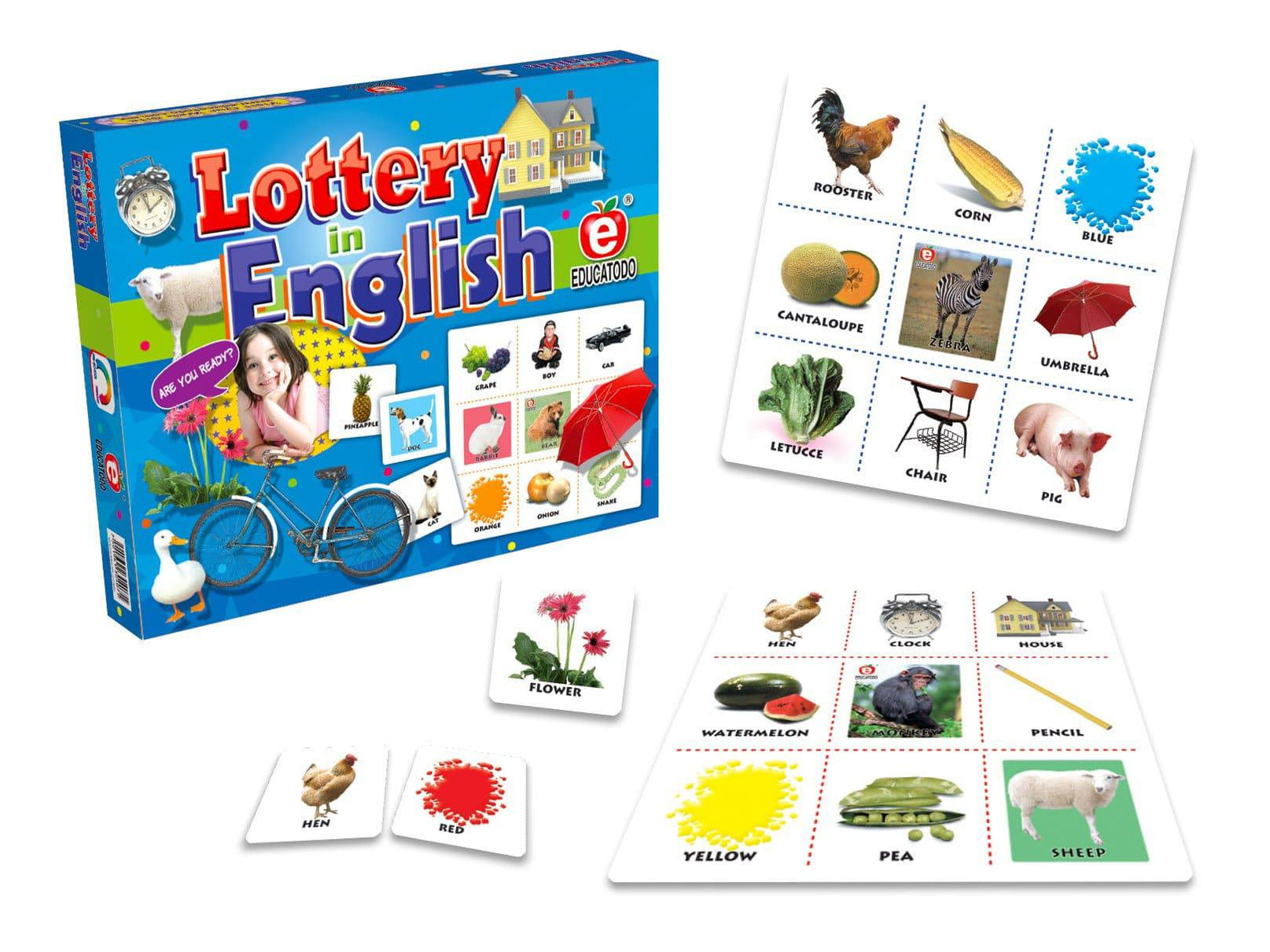 Lottery In English (Vocabulary) — Educatodo