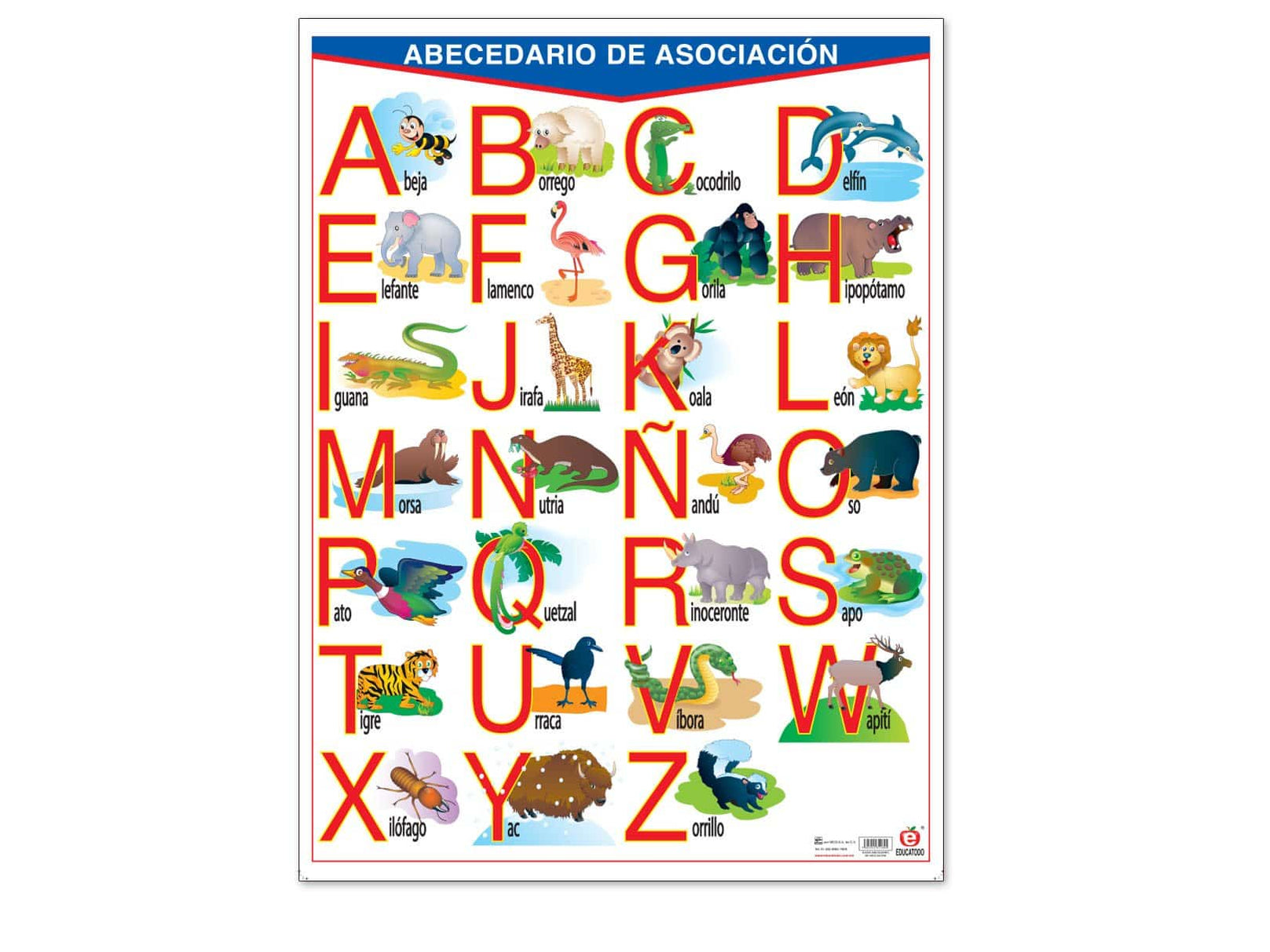 Pósters - Letras y Vocabulario — Educatodo