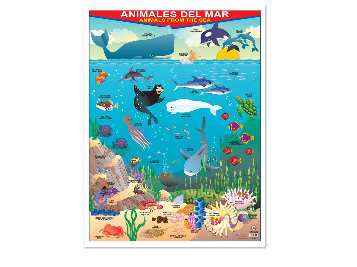 Póster Animales del Mar — Educatodo